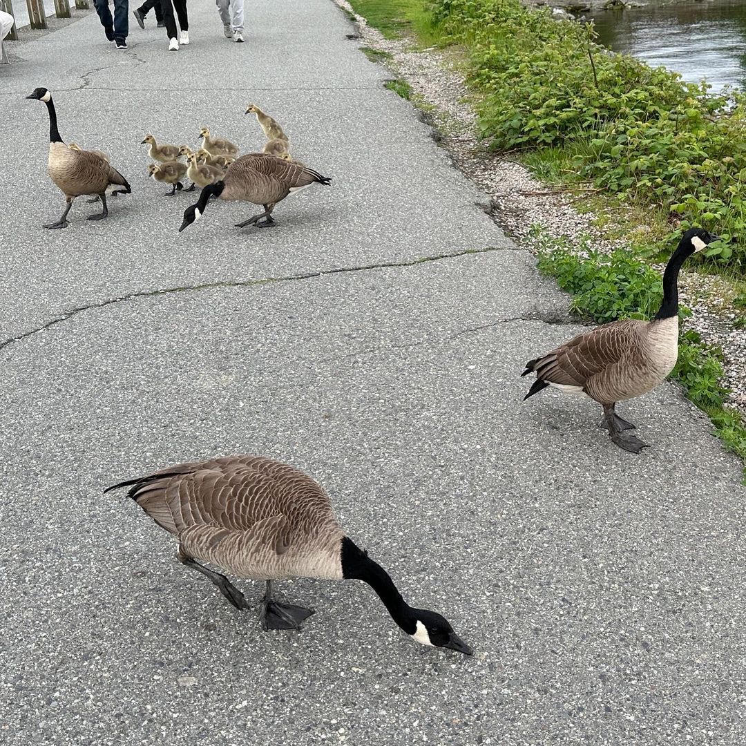 5 Questions with Catherine Lewis | Finnian Burnett