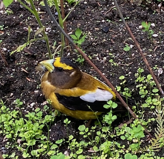 Five Questions with Maria McLeod | Finnian Burnett