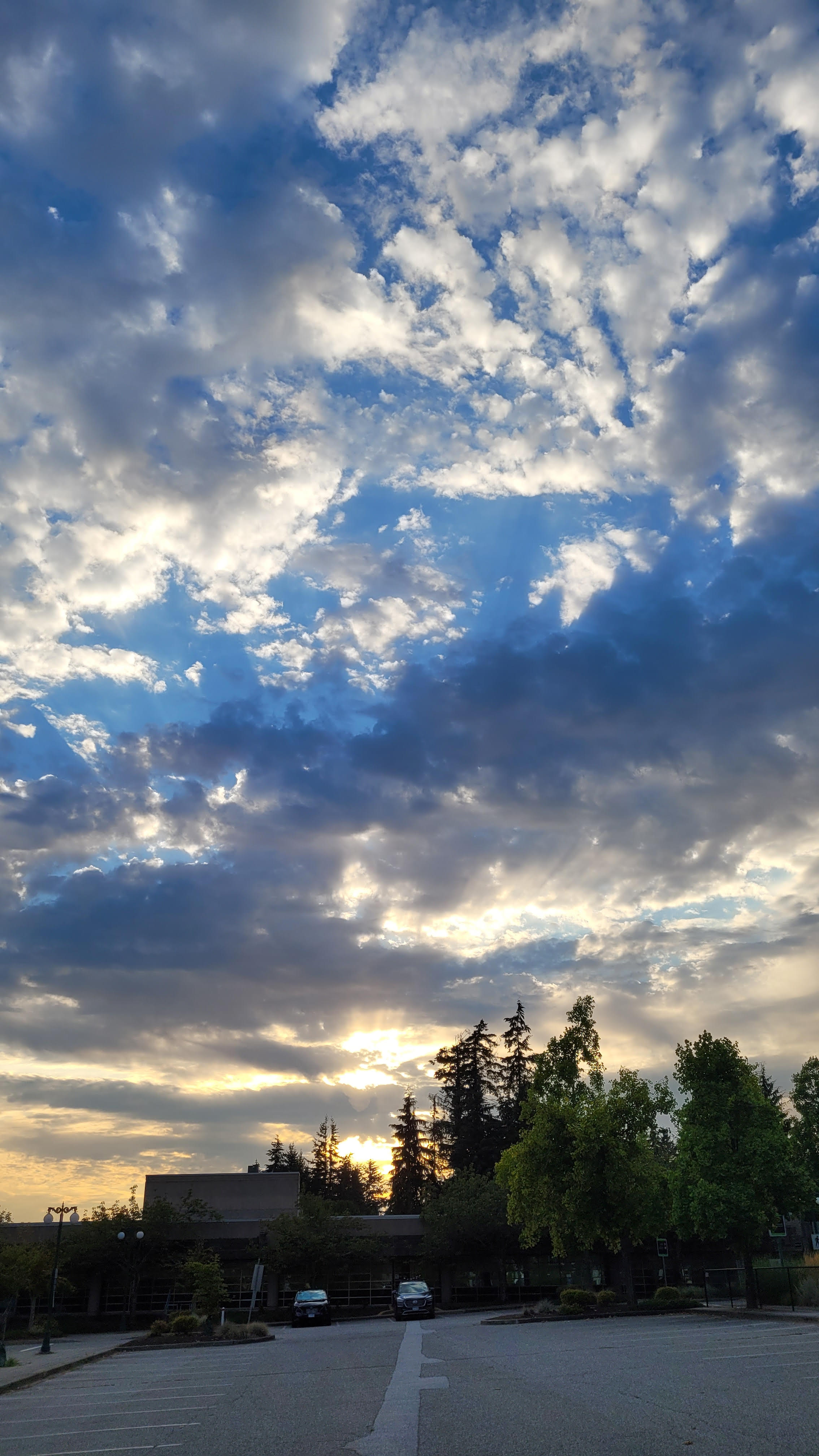 Five Questions with Tyner Gillies | Finnian Burnett