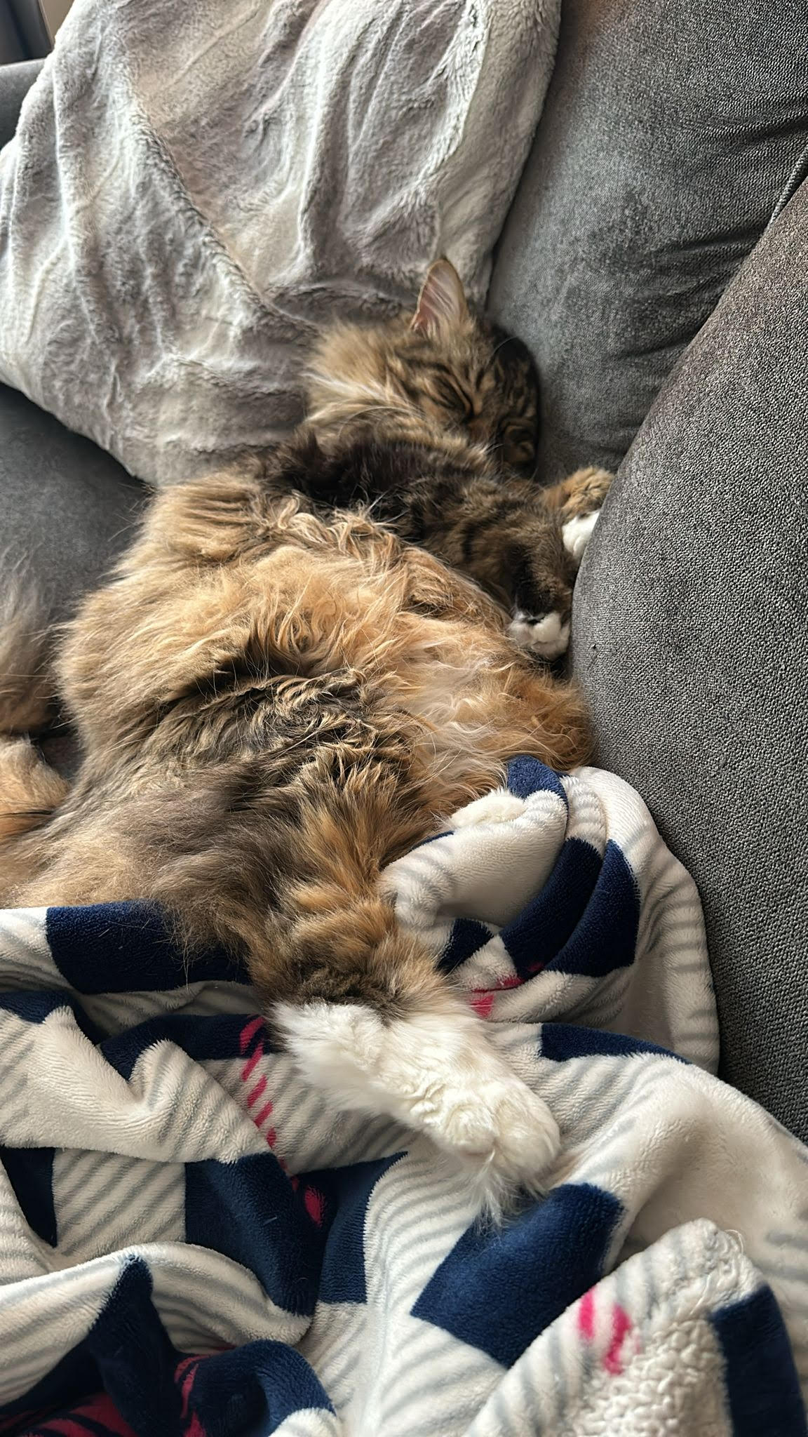 Five Questions with Tyner Gillies | Finnian Burnett