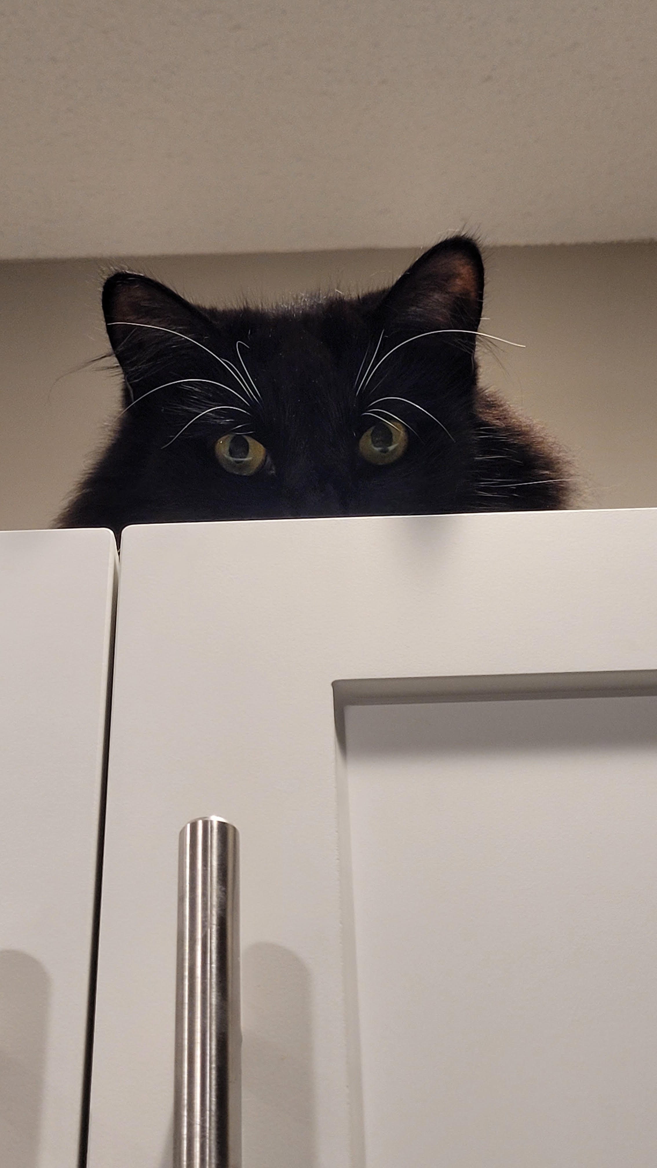 Five Questions with Tyner Gillies | Finnian Burnett