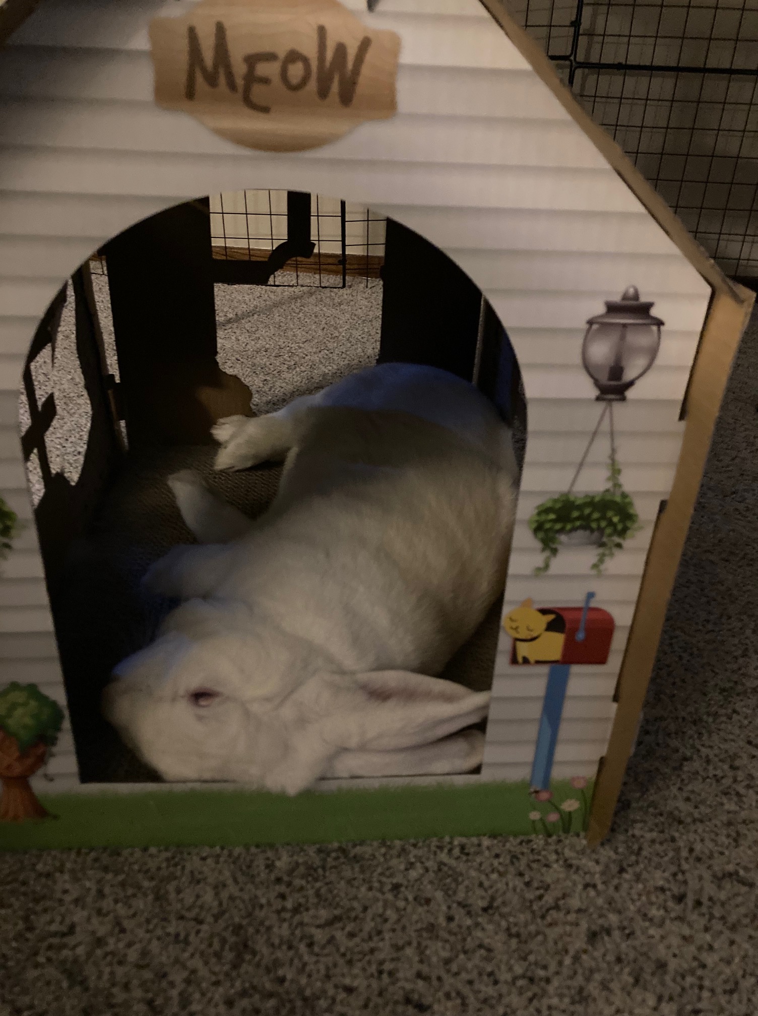 Five Question with Melanie Mayer | Finnian Burnett